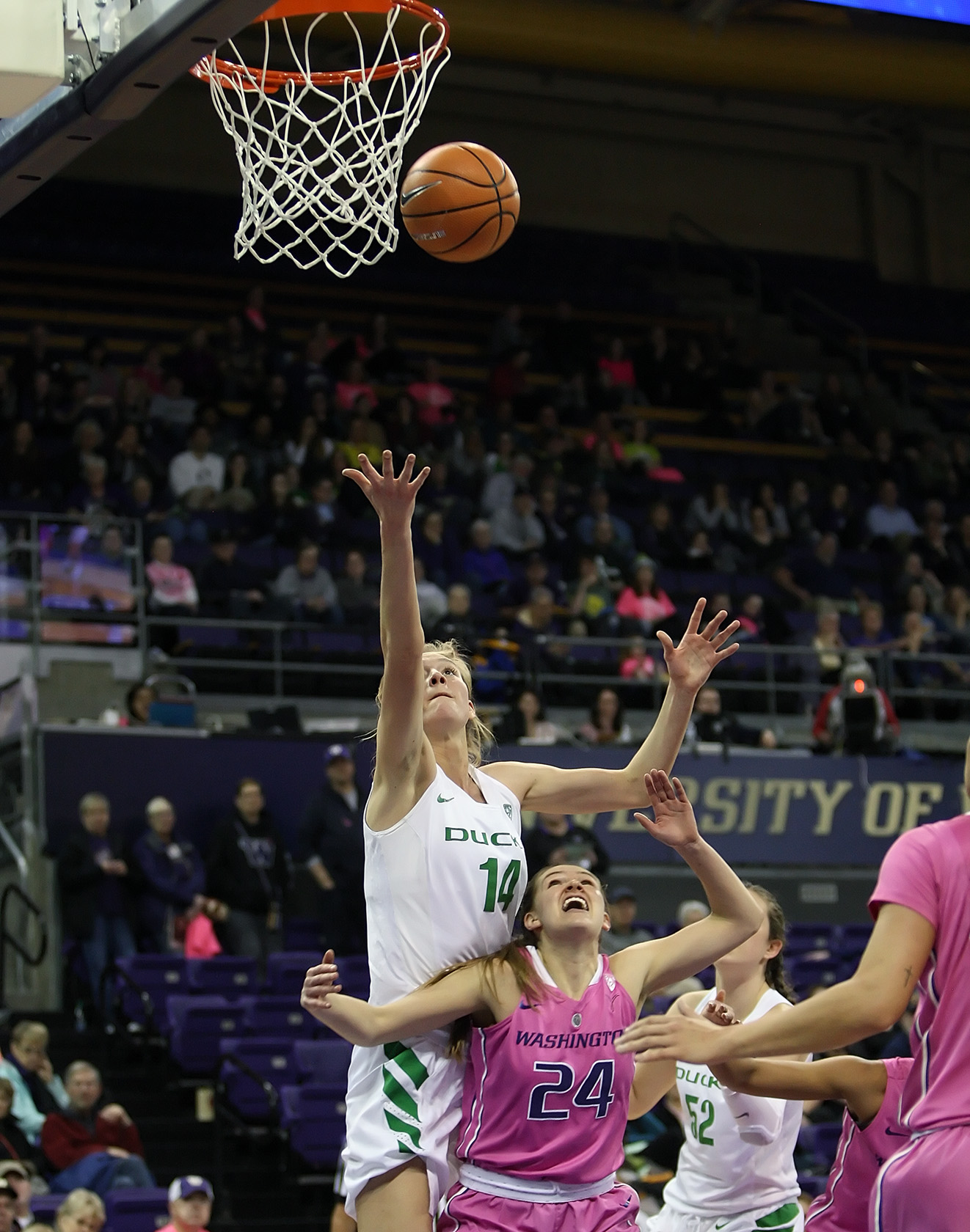 Giomi stands tall for Oregon; Former West Seattle star brings family ...